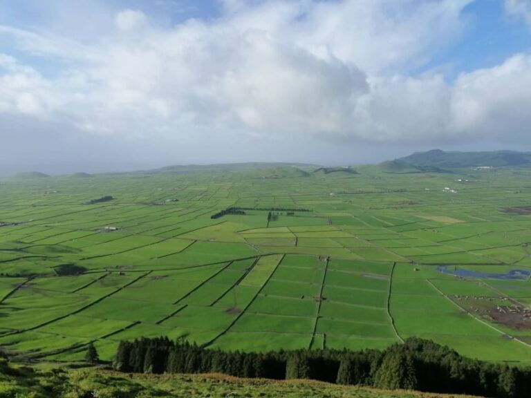 From Angra: Terceira Island Full-Day Tour - Who Would Love This Tour?