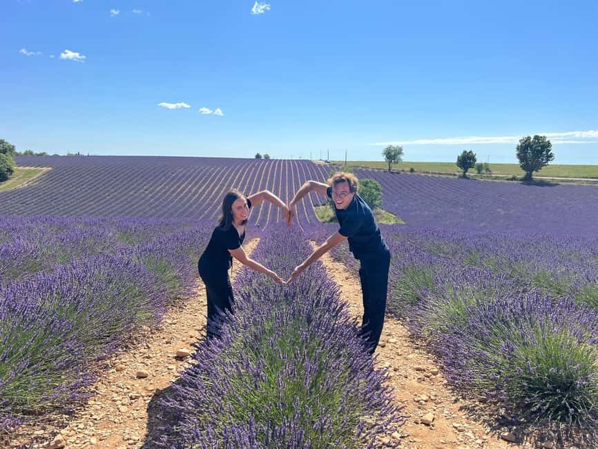 From Avignon: Half Day Lavender Tour to Sault - Practical Details and Value