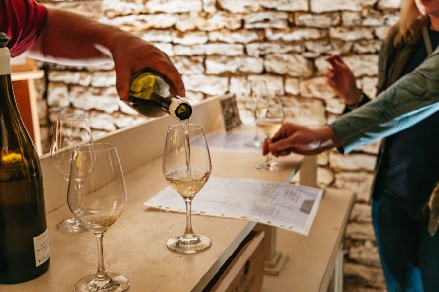 From Beaune: Burgundy Day Trip with 14 Wine Tastings - What Makes This Tour Stand Out?