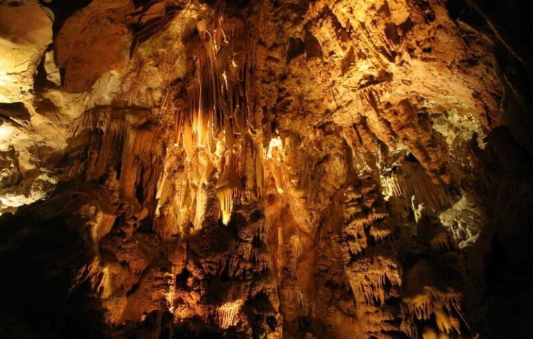 From Belgrade: Manasija Monastery and Resava Cave Tour - Resava Cave: An Underground Marvel