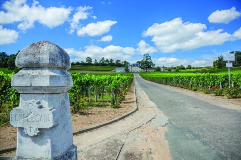 From Bordeaux: Full-Day St Emilion Wine Tasting Tour - What Makes This Tour Stand Out?