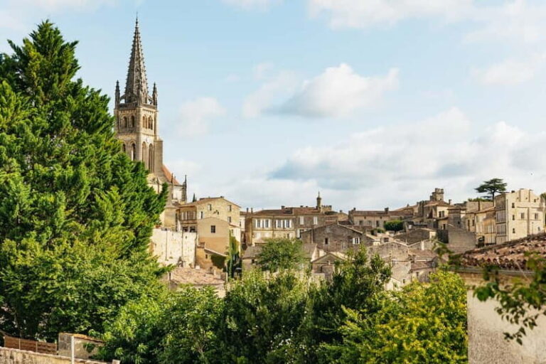 From Bordeaux: Half-Day Saint-Émilion Tour and Wine Tasting - The Itinerary Breakdown: What You Can Expect