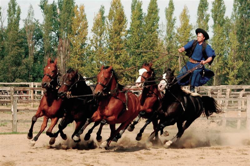 From Budapest: Full-Day Puszta Tour with Lunch and Show - The Itinerary in Detail