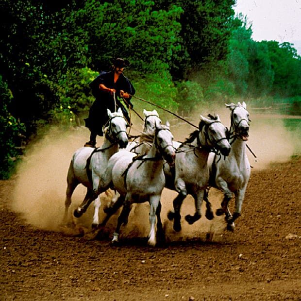 From Budapest: Puszta Horse Show and Countryside Visit - Why Travelers Love This Tour