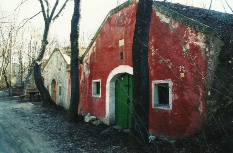 From Budpaest: Páty Wine Village Tour with Tastings - What Makes This Tour Special?