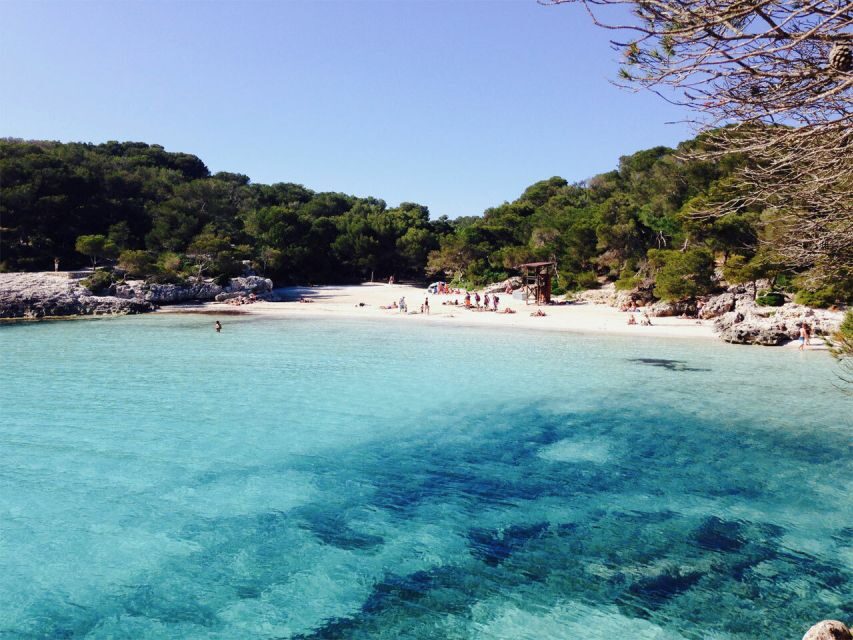 From Cala Galdana: 2-Hour Glass-Bottom Boat Trip - Who Should Consider This Tour?