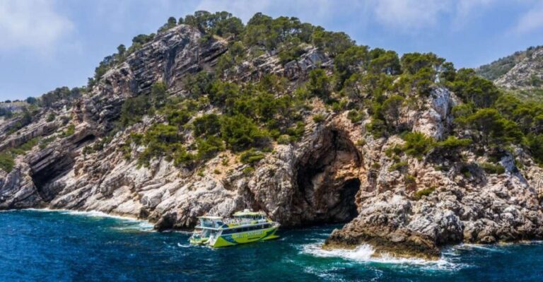 From Cala Ratjada: East Coast Glass-Bottom Boat Trip - What to Expect on the Tour