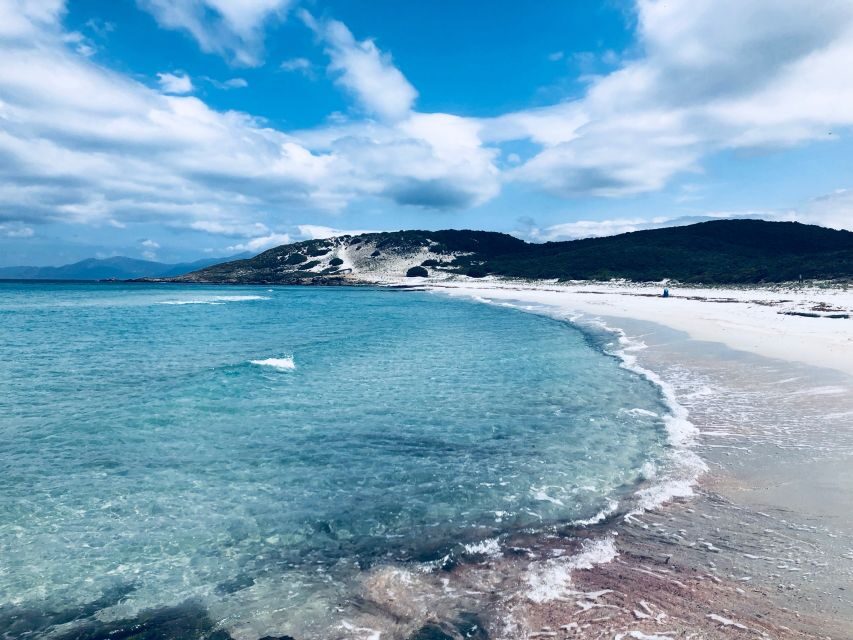 From Calvi: 4x4 Day Tour Mountain & Agriates' Saleccia Beach - A Deep Dive into the Corsican 4x4 Experience