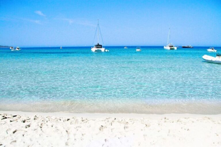 From Calvi: Agriate Guided Jeep Tour to Lotu and Saleccia - What Makes This Tour Special