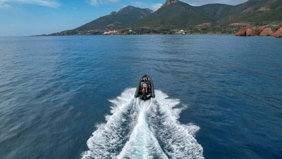 From Cannes: Essential Calanques de l'Estérel Sea Excursion - Detailed Experience Breakdown