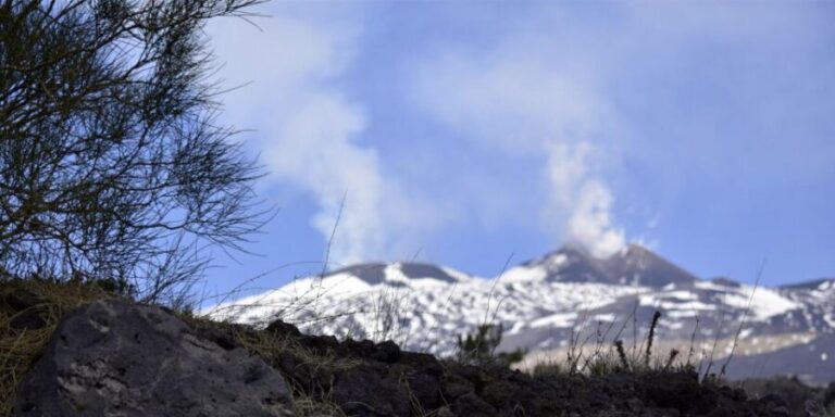 From Catania: trek on Mount Etna, Lava Cave & tasting Tour - The Practical Aspects: Transport, Group Size, and Value
