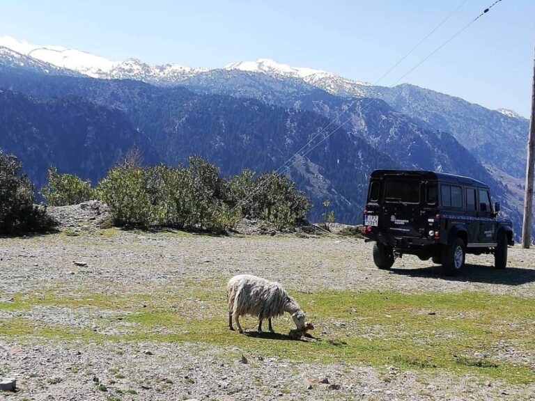 From Chania: White Mountains Land Rover Safari - What to Expect During the Day