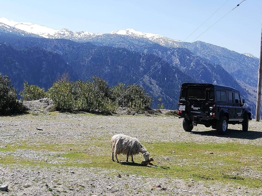 From Chania: White Mountains Land Rover Safari - What to Expect During the Day