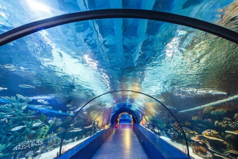 From City of Side: Antalya Aquarium Tour, Ticket & Transfer - What We Loved (and What to Consider)
