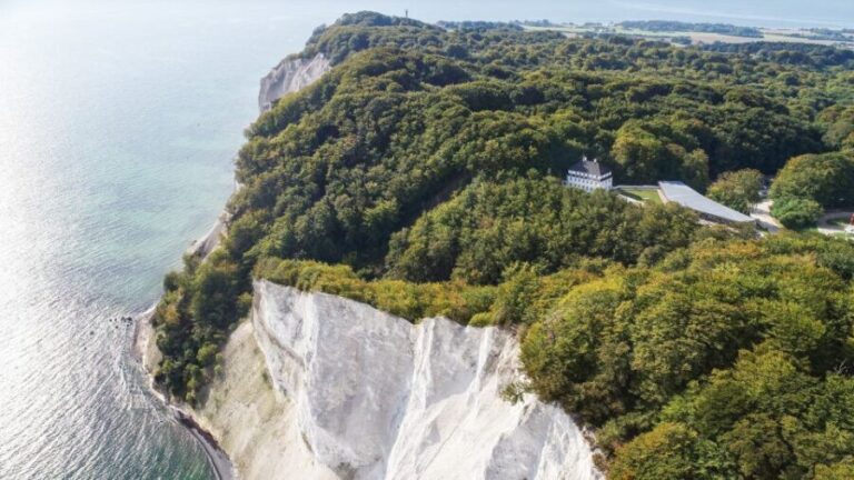 From Copenhagen: Round-Trip to Møns Klint and Forest Tower - What’s Truly Special About This Tour