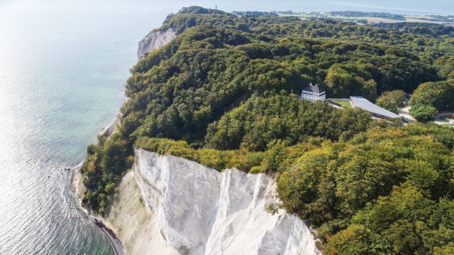From Copenhagen: Round-Trip to Møns Klint and Forest Tower - What’s Truly Special About This Tour