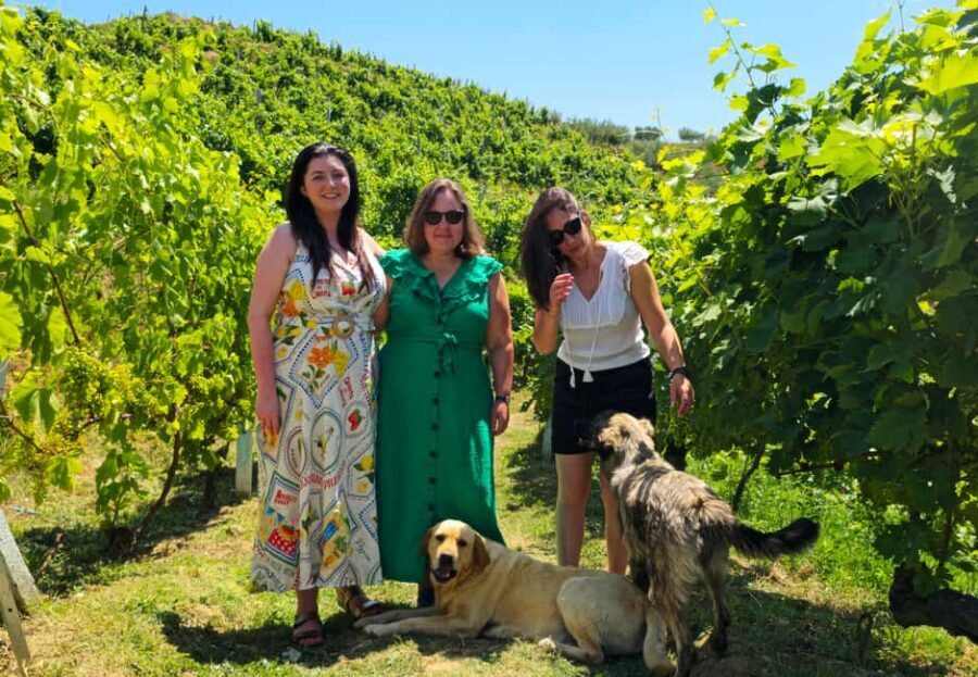 From Durrës: Albanian Wine Tasting with Vineyard & Boat Tour - What Makes This Tour Stand Out