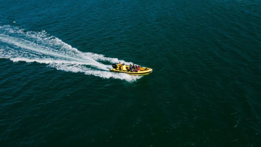 From Faro: Ria Formosa Hop-On Hop-Off 3 Islands Cruise - Transportation and Practical Details