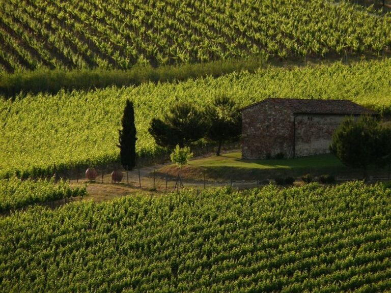 From Florence: Chianti Wine Tastings at Sunset Day Trip - Why This Tour Is Worth the Price