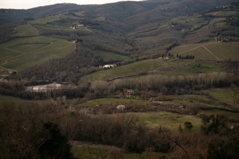 From Florence: Private Chianti Hills Tour with Tasting - What You Get & Why It’s a Good Deal