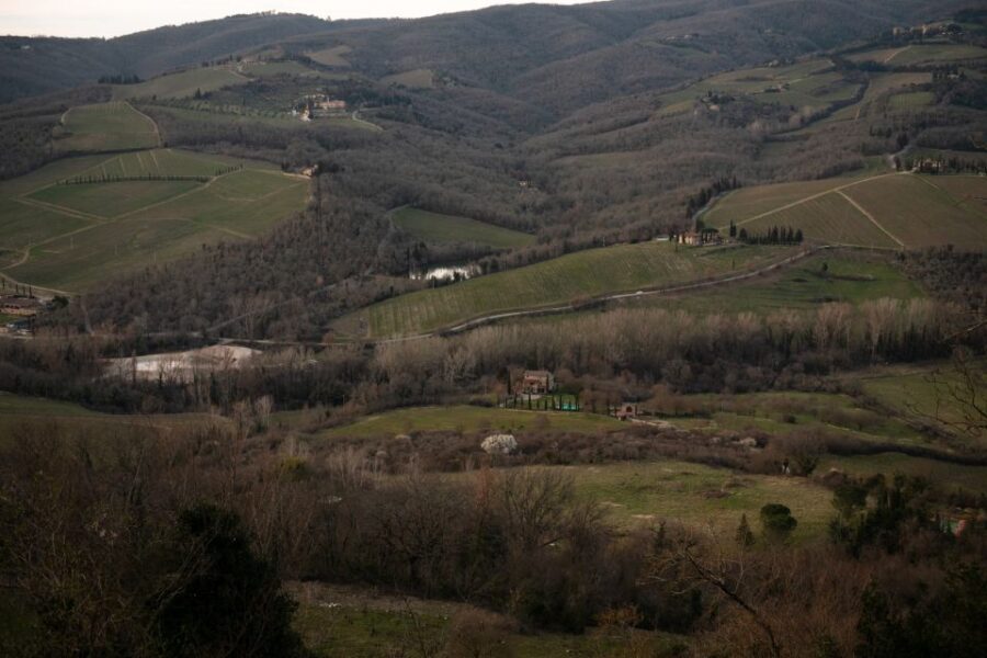 From Florence: Private Chianti Hills Tour with Tasting - What You Get & Why It’s a Good Deal