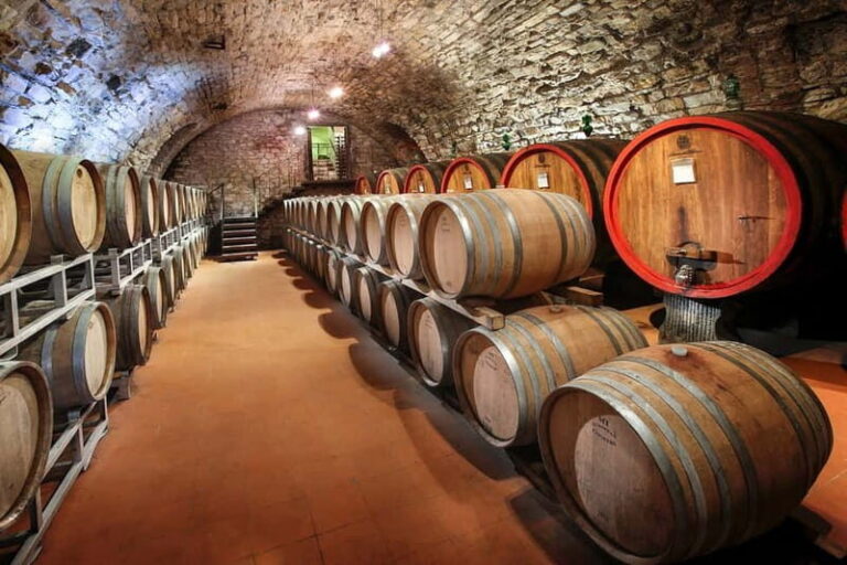 From Florence: Tuscany Wine & Food Tour with Guide - Final Thoughts