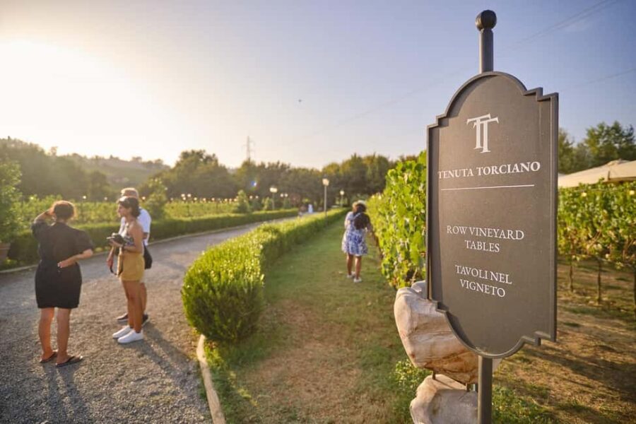 From Florence: Wine Tasting and Dinner in Chianti Vineyards - What You’ll Love about This Tour