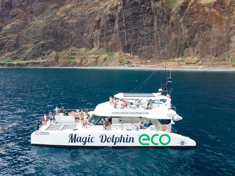 From Funchal: Ecological Catamaran Dolphin Whale Watching - The Value of a 3-Hour Wildlife Tour