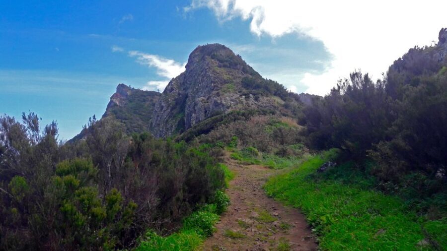 From Funchal: Machico to Porto da Cruz Larano Cliff Hike - Why We Love This Experience