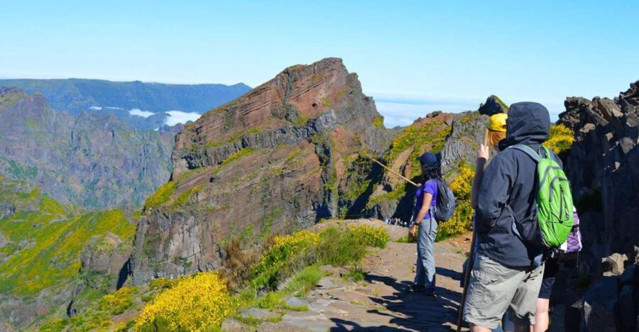 From Funchal: Madeira Peaks Mountain Walk - Who Is This Tour Best Suited For?