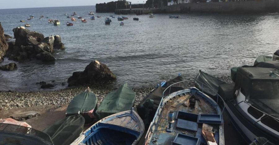 From Funchal: West Madeira and Laurel Forest Day Trip - What Makes This Tour Stand Out