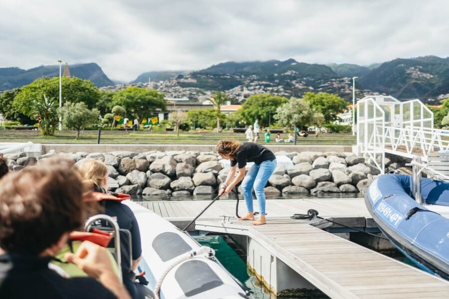 From Funchal: Whales and Dolphin Adventure Tour - The Speedboat Experience: Small, Fast, and Fun