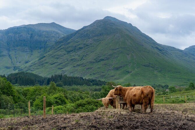 From Glasgow: Scottish Highlands and Loch Ness Day Tour - Practical Aspects: How the Tour Runs
