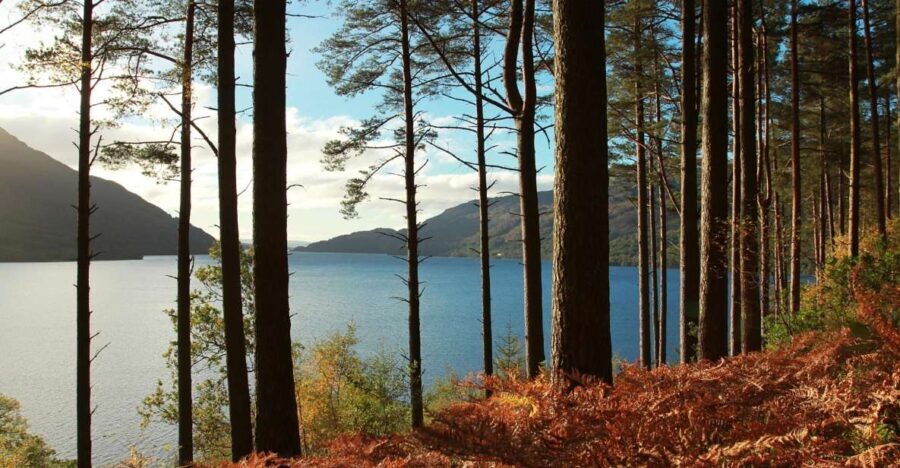 From Glasgow: Stirling Castle & Loch Lomond Tour with Cruise - Who Will Love This Tour?