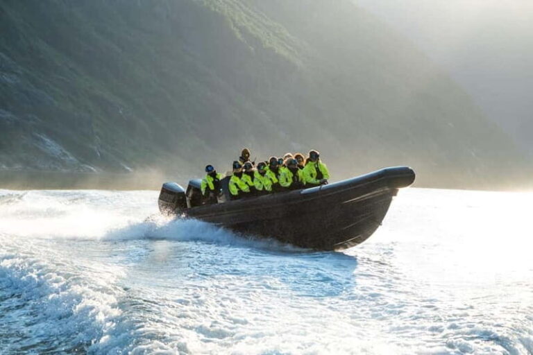 From Hellesylt: Experience Fjordsafari Geirangerfjord on RIB - Group Size and Guides