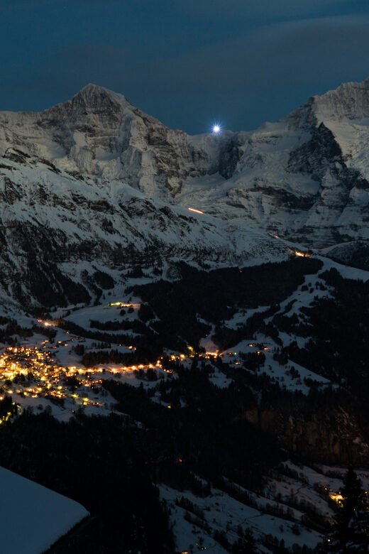 From Interlaken: Night Sledding - The Value of This Night Sledding Tour