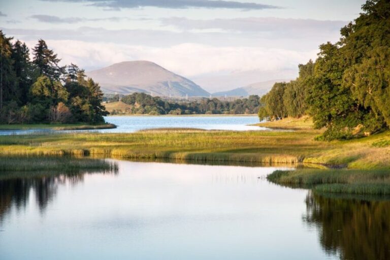 From Inverness: Cairngorms National Park and Whisky Tour - The Experience You’ll Get