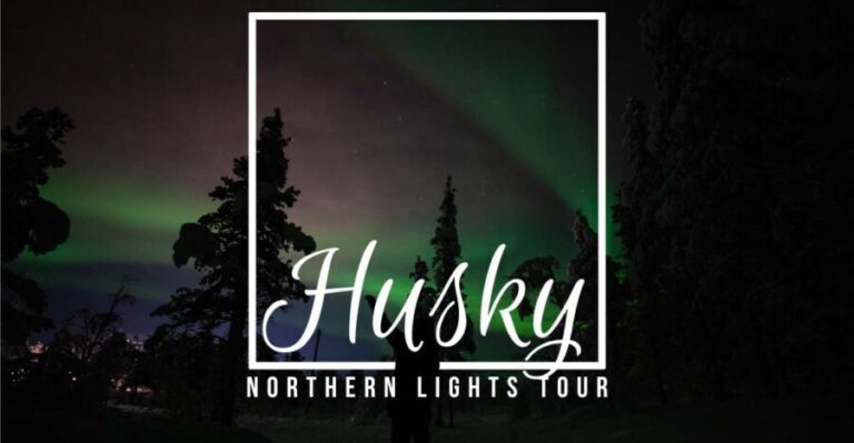 From Kiruna: Northern Lights Guided Husky Sledding Adventure - The Itinerary in Detail
