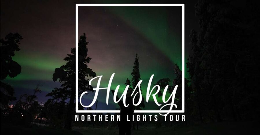 From Kiruna: Northern Lights Guided Husky Sledding Adventure - The Itinerary in Detail
