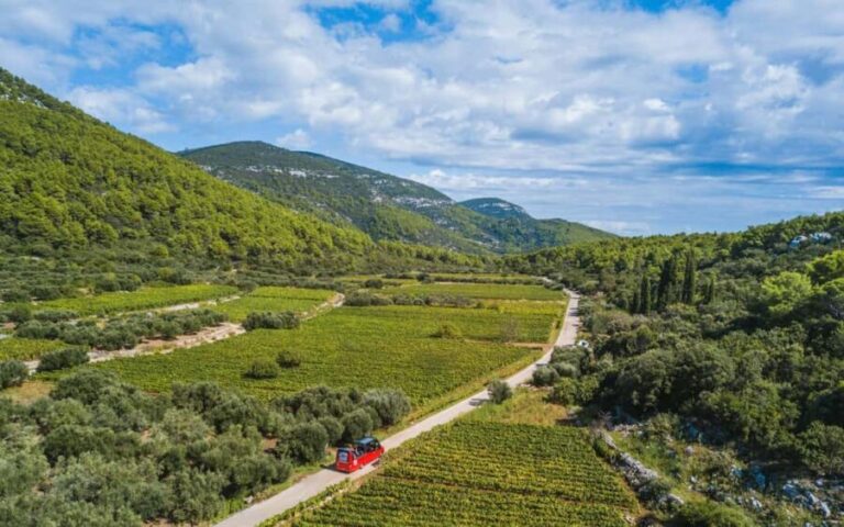 From Korcula Town: Local Wine & Sightseeing Half-Day Tour - The Practicalities and Considerations