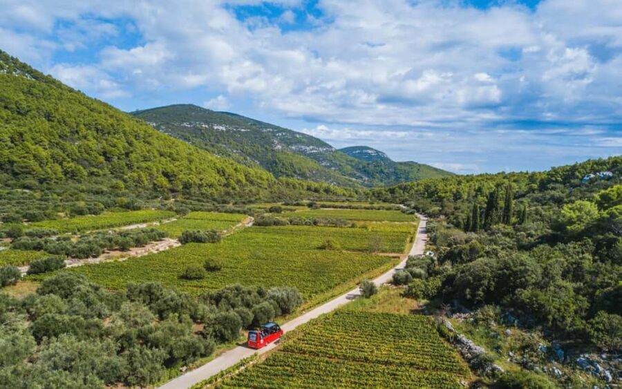 From Korcula Town: Local Wine & Sightseeing Half-Day Tour - The Practicalities and Considerations