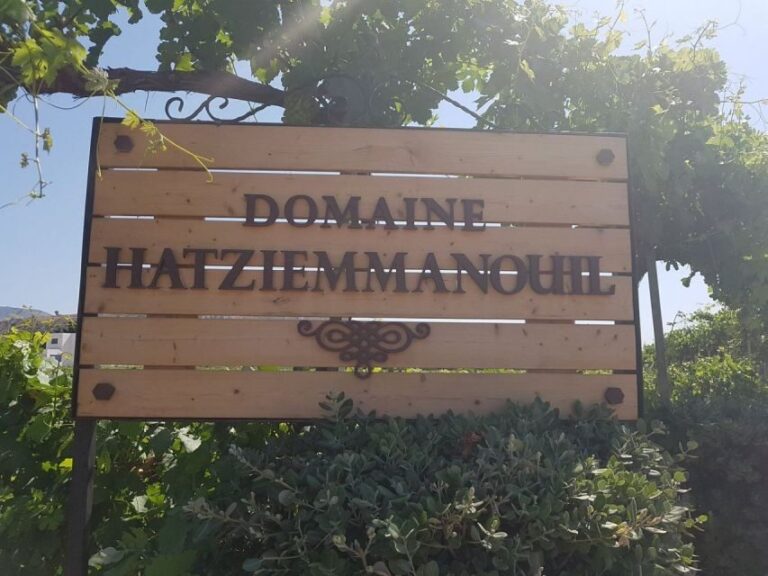 From Kos: Tour of 2 Wineries with Wine Tasting & Small Bites - Exploring the Itinerary: What You Can Expect