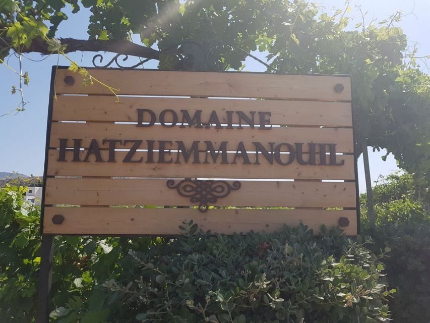 From Kos: Tour of 2 Wineries with Wine Tasting & Small Bites - Exploring the Itinerary: What You Can Expect