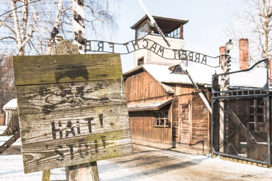 From Krakow: Auschwitz and Wieliczka Salt Mine Full-Day Trip - Who Should Consider This Tour?