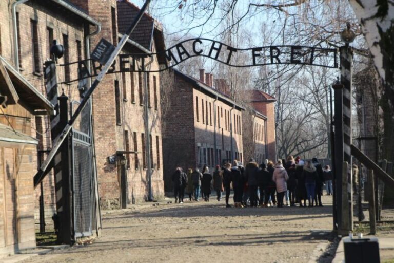 From Krakow: Auschwitz-Birkenau and Self-Guided Day Tour - Practical Tips for Your Visit