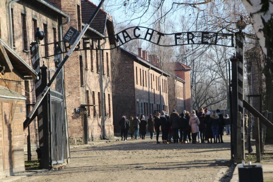 From Krakow: Auschwitz-Birkenau and Self-Guided Day Tour - Practical Tips for Your Visit