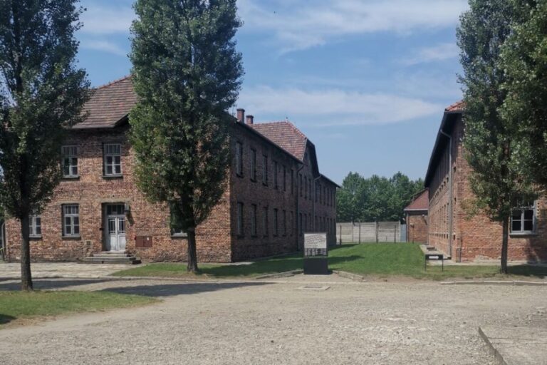 From Krakow: Auschwitz-Birkenau Camp Complex Guided Day Trip - The Sum Up