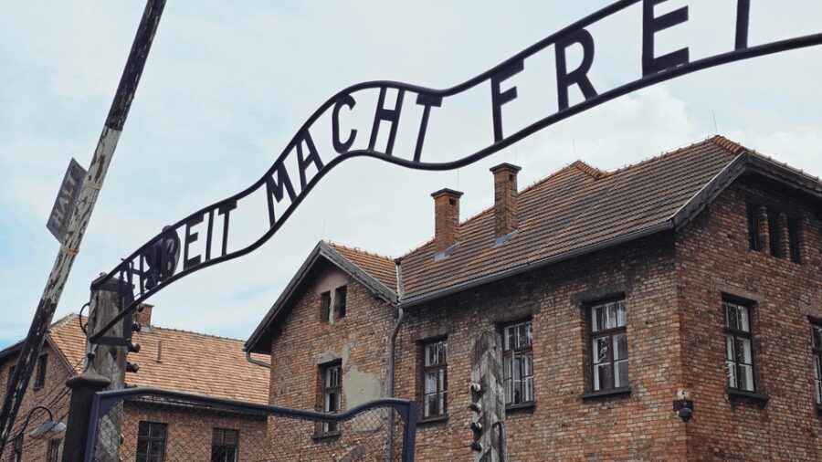 From Krakow: Auschwitz-Birkenau Guided Tour, Several Options - What Makes This Tour Stand Out?
