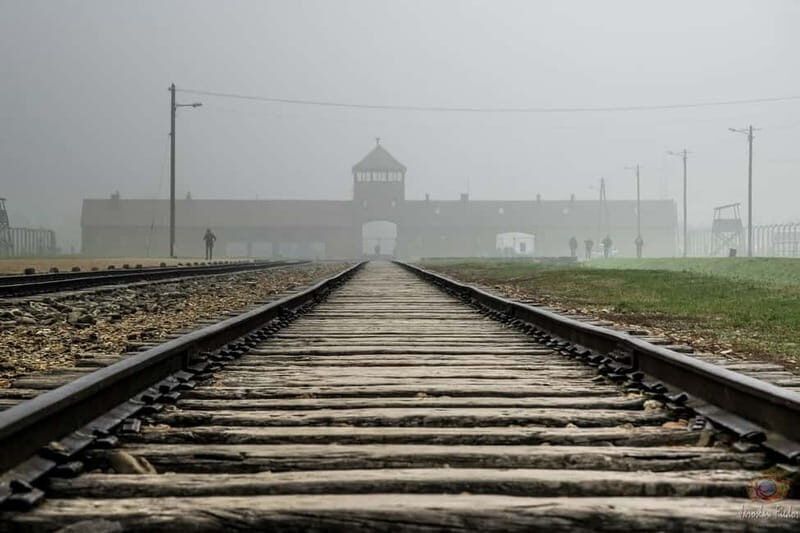 From Krakow: Auschwitz-Birkenau Guided Tour with Transport - Who Will Love This Tour?