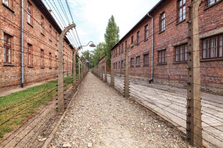 From Krakow: Auschwitz Birkenau Tour with Transfer - Authentic Insights from Reviews